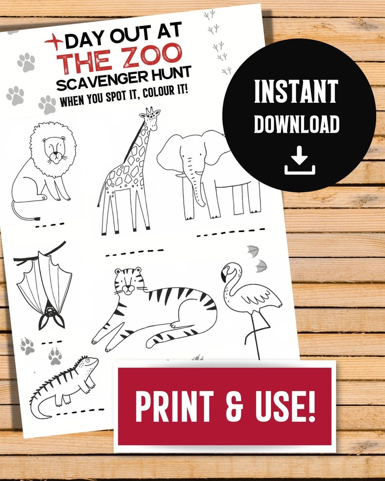 Zoo Scavenger Hunt Colouring in Sheet for Kids PRINTABLE - Etsy