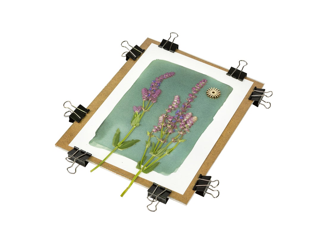 Clip Exposure Frame for Cyanotype, Solarfast, Argyrotype (24 X 30 Cm ...