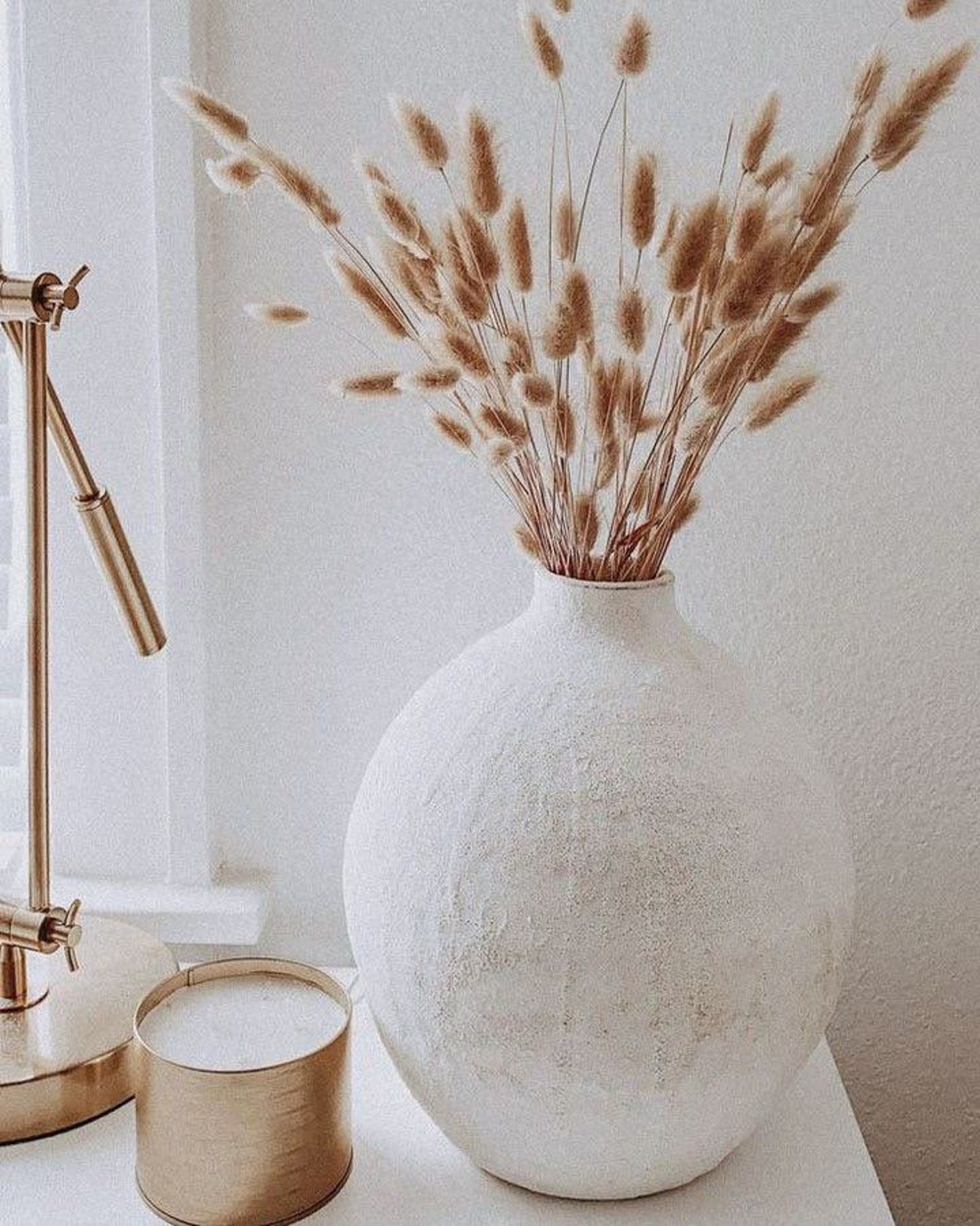 Dried Lagurus. Dried Bunny Tails. Natural. 100 Stems. Dried Flowers. - Etsy