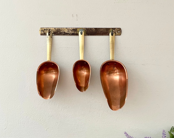 Set of 3 Solid Copper Spice / Salt Spoons Hand Forged Copperware for ...