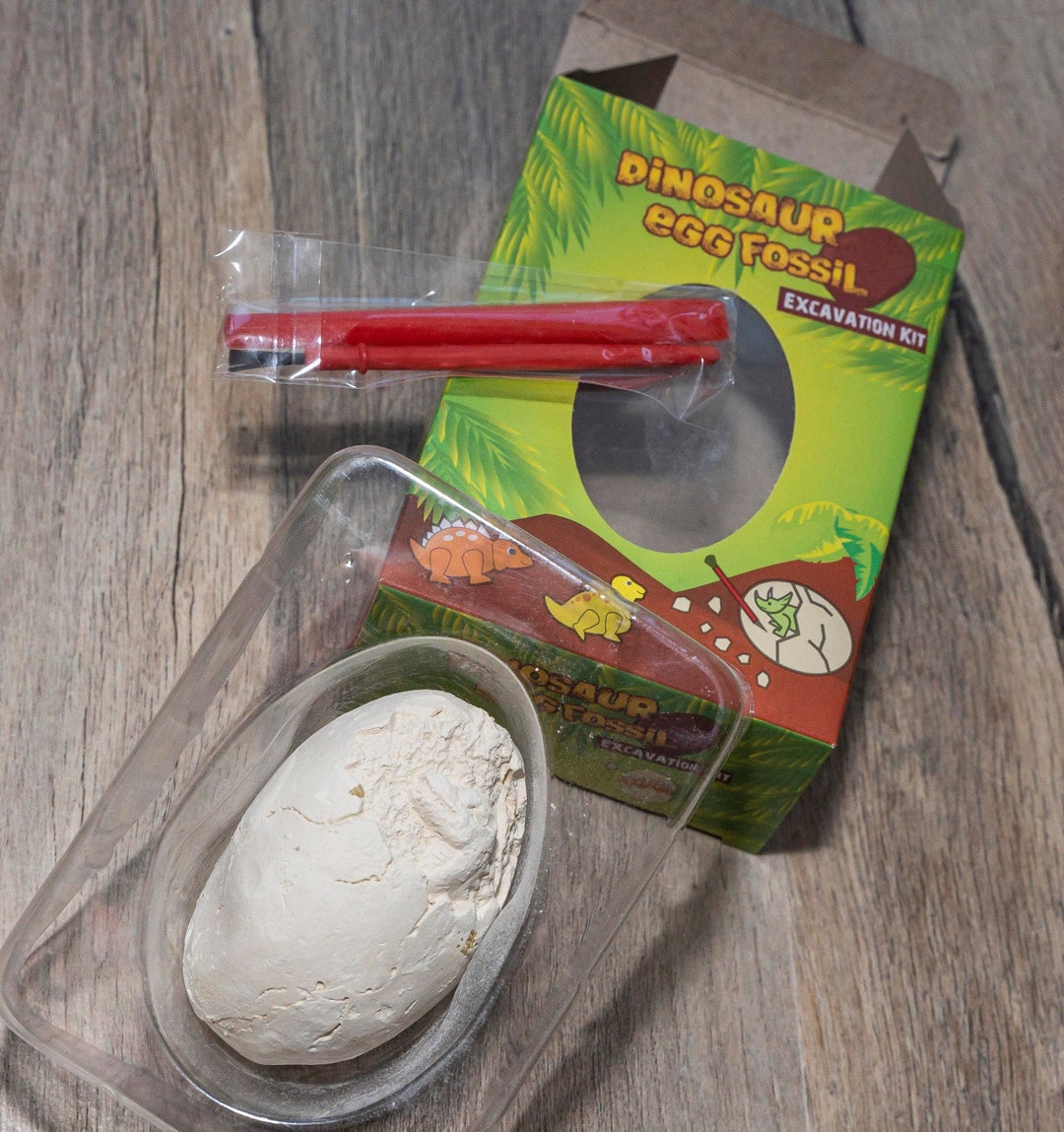 Excavation Kit, Dinosaur Egg Fossil, Dinosaur Excavation Sensory Play ...