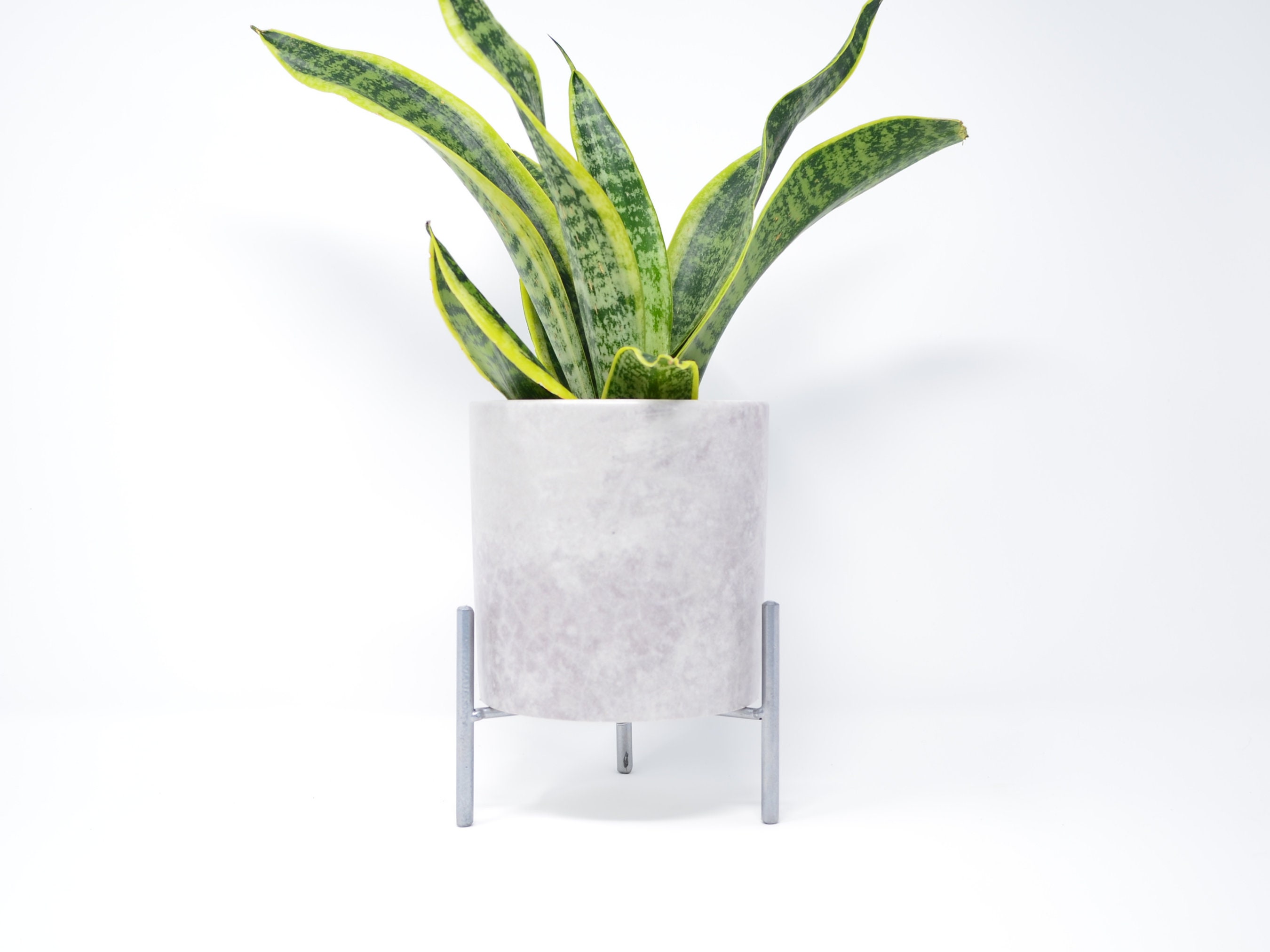 Cacti Planter Personalized Plant Pot with Stand Cement Planter and ...