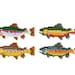 Trout Cross Stitch Pattern - Etsy