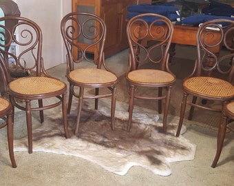 Antique Bentwood No. 4 Cafe Daum Chair by Michael Thonet set of 6 Etsy