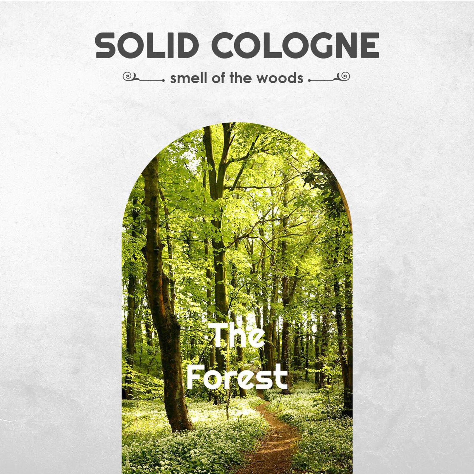 The Forest Solid Cologne Sample Set - Pack of 3 - Vintage Slide Tin - 0 ...