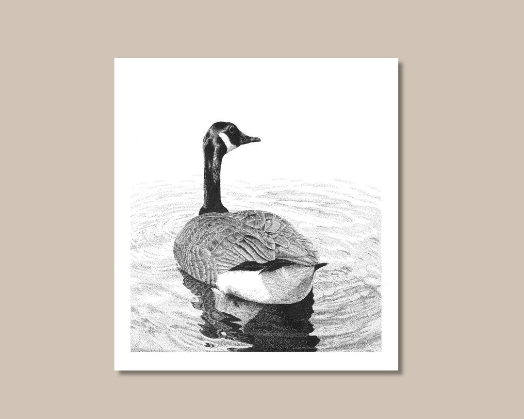 Canada Goose Pen and Ink Drawing Wall Art, 8.5" X 11" Unframed ...