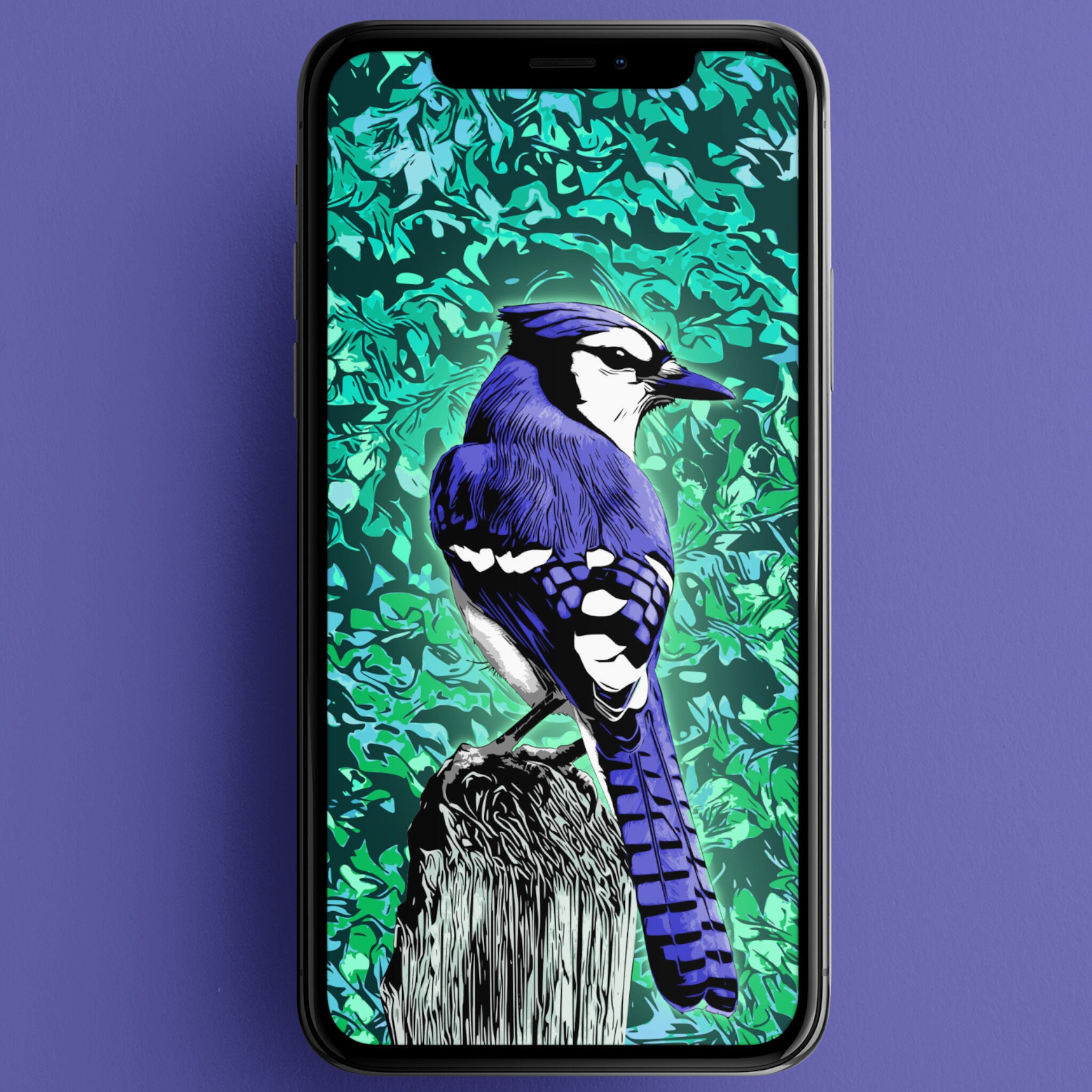 Blue Jay Phone Wallpaper | Digital Download | iPhone Wallpaper ...