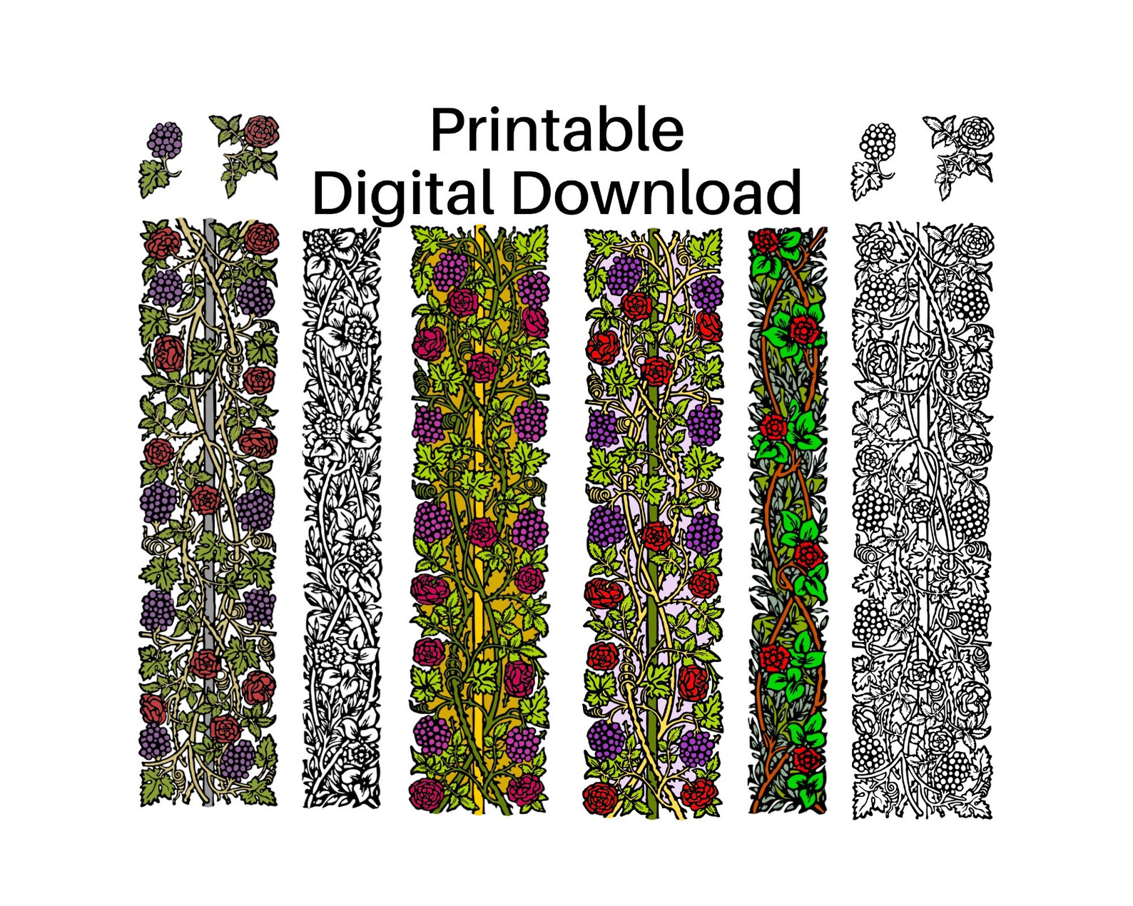 Roses Themed Page Borders, Printable Flowers Clip Art, SVG PNG JPG ...