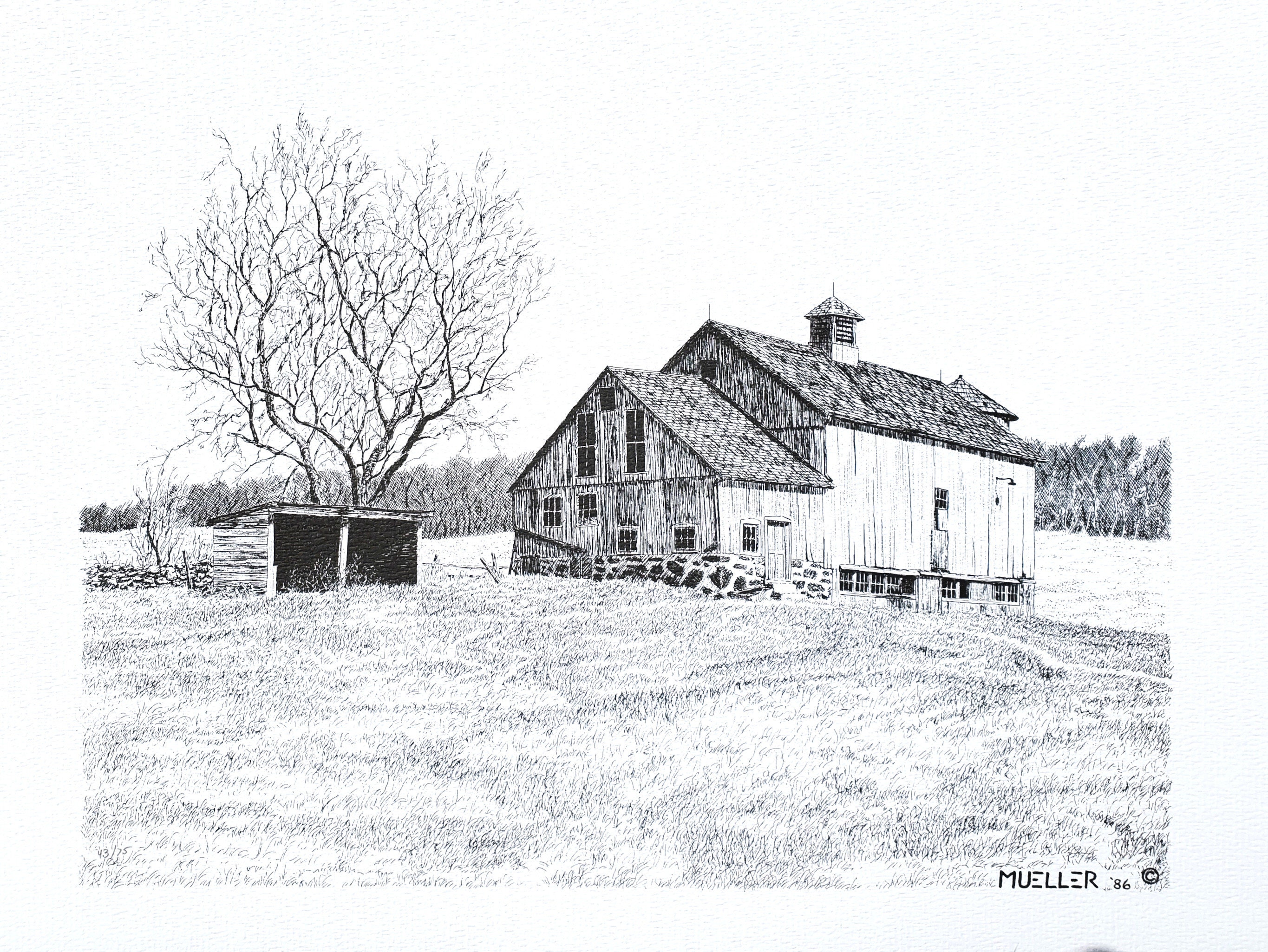 Rustic Barn Pen and Ink Drawing: Country Wall Art Print (8.5" X 12") - Etsy