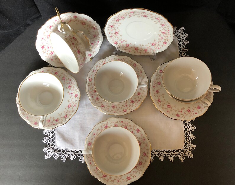 Mitterteich 'lady Claire' Tea/coffee Set Pink Roses - Etsy