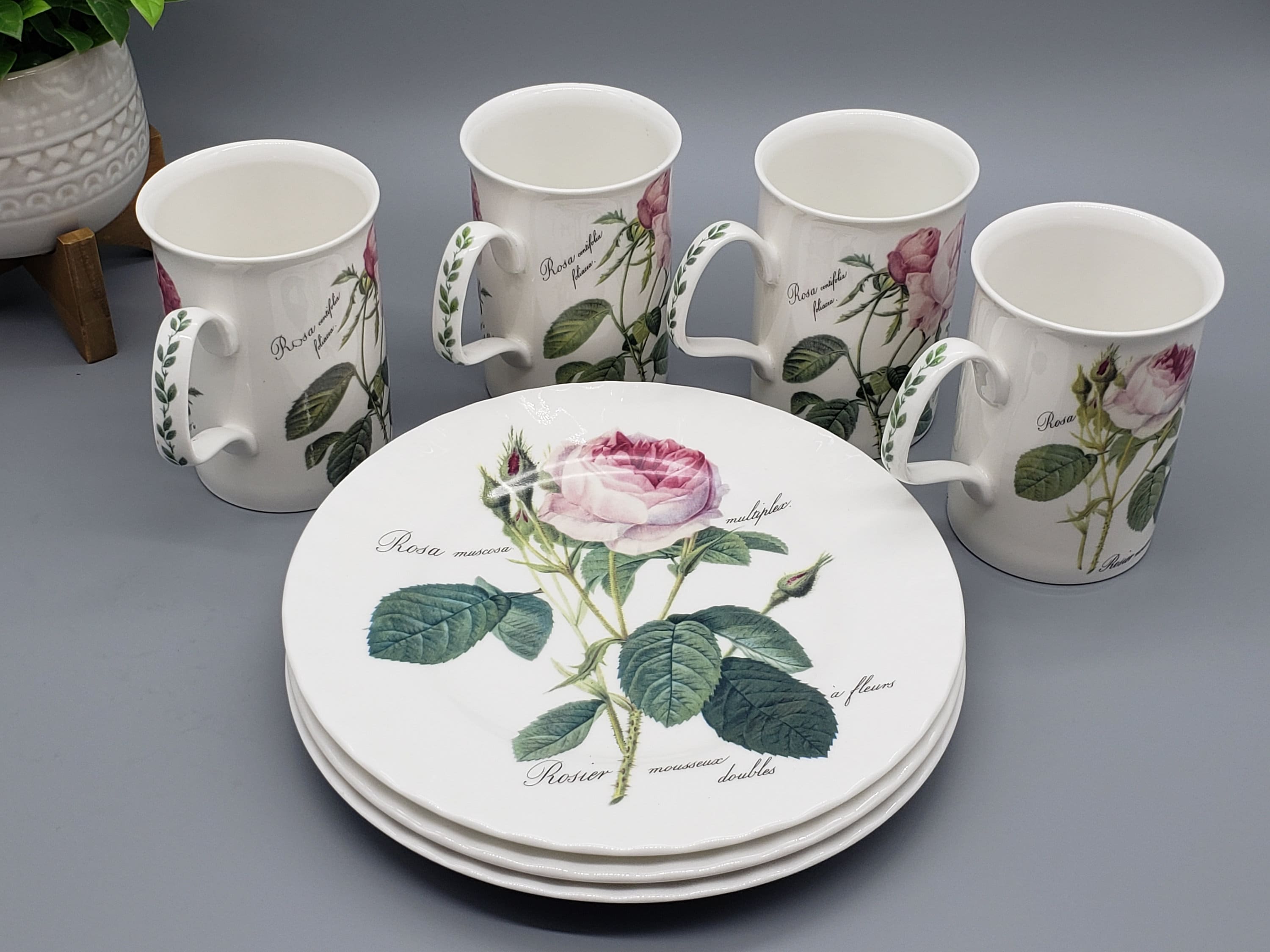 Set of 2 Roy Kirkham Redoute Roses, Rosa Muscosa, Tall Mugs, Coffee ...