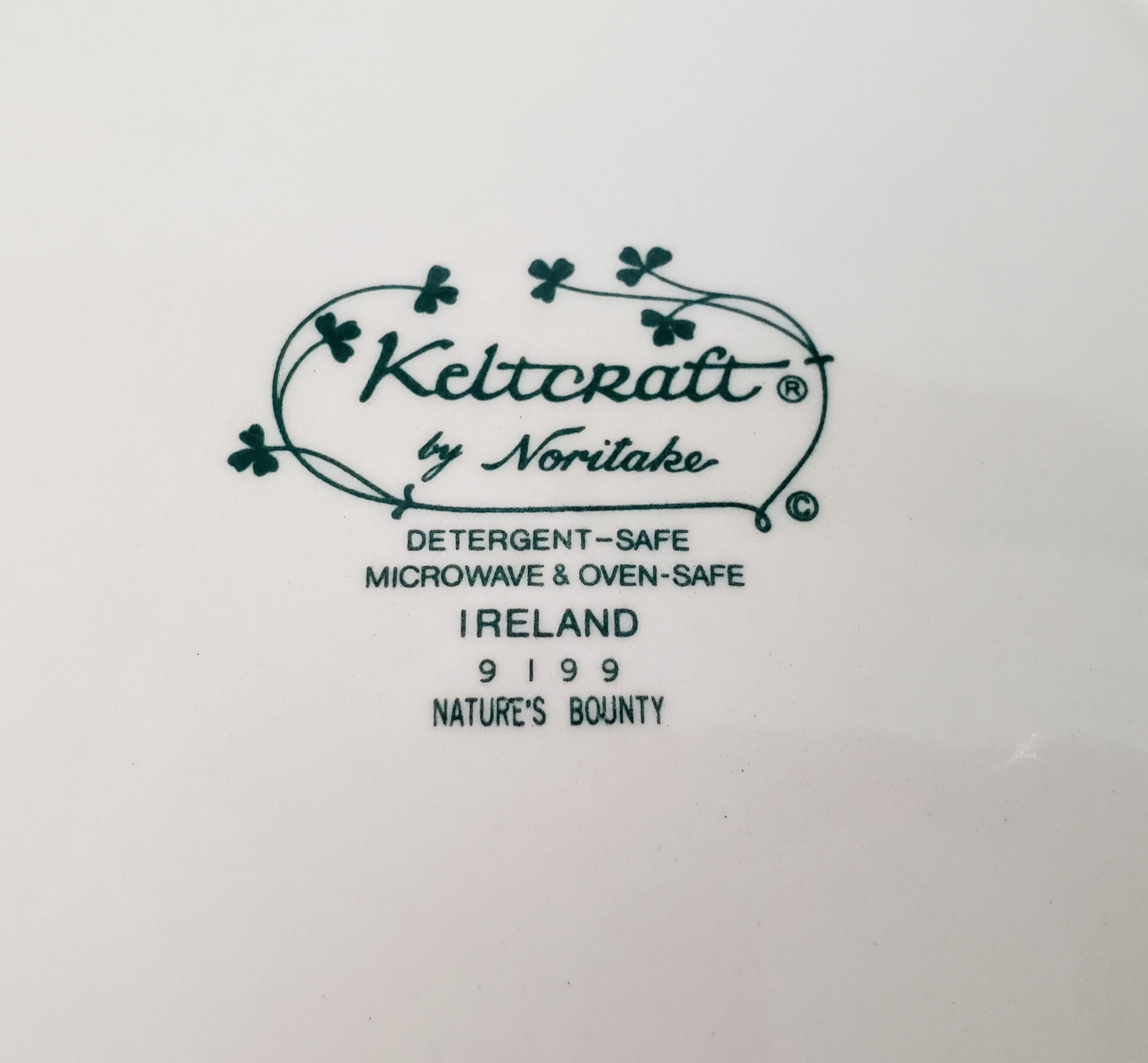 Vintage Noritake "nature's Bounty" 10.5" Dinner Plates, Set of 2 ...