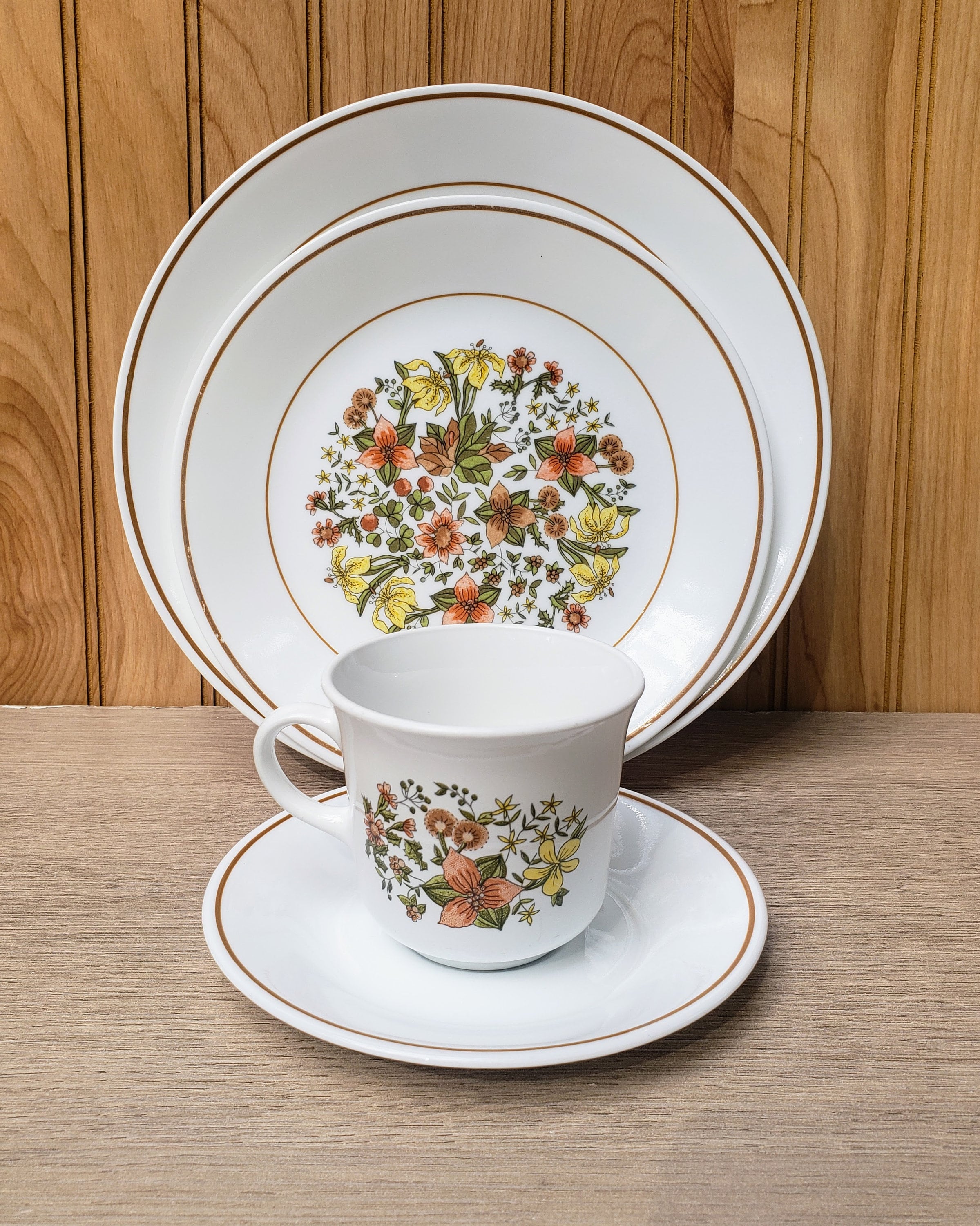 Vintage Corelle Indian Summer Dishware, Dinner, Salad, Luncheon, Bread ...