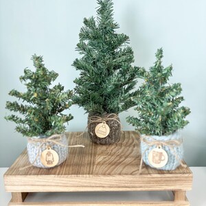 Mini Evergreen Tree: Personalized Knit Cozy, Winter Home Decor - Etsy