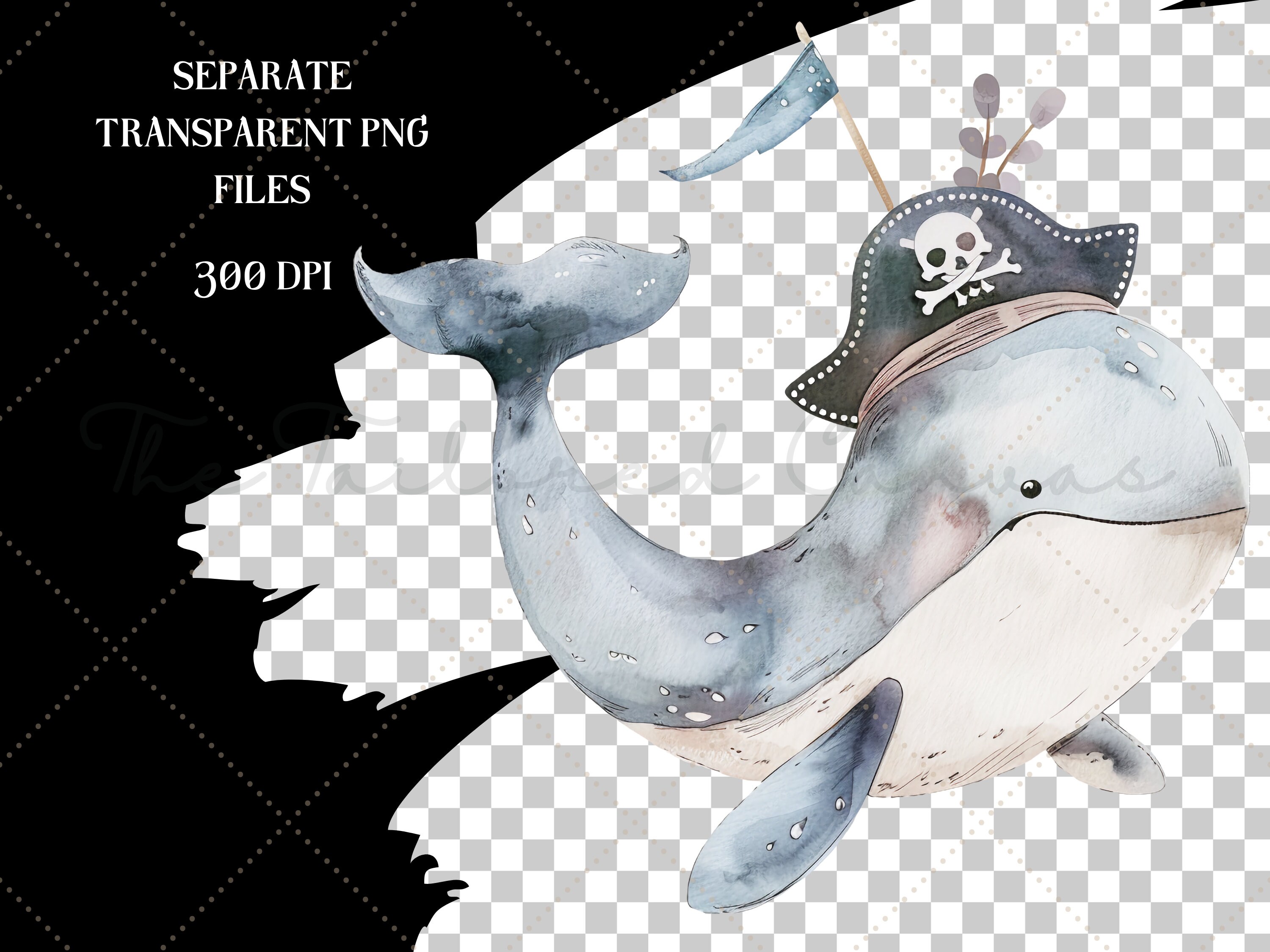 Watercolor Pirate Clipart Set: 70 PNG Elements (digital Download) - Etsy