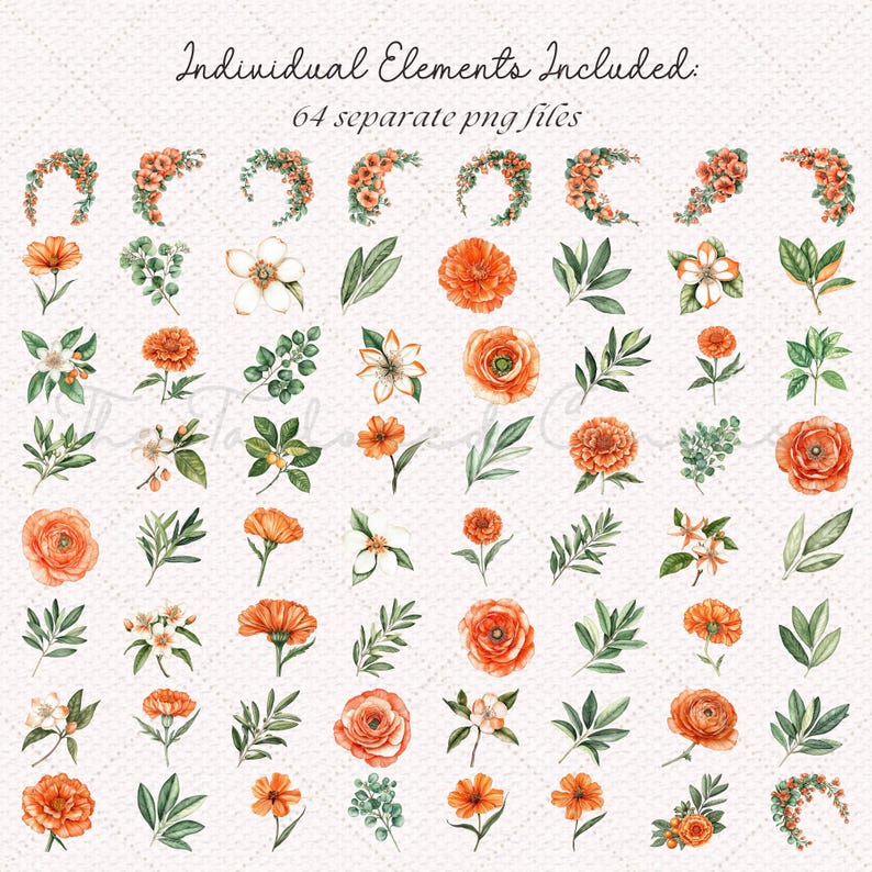 Watercolor Citrus Clipart Kit: Mediterranean Floral Elements, Seamless ...