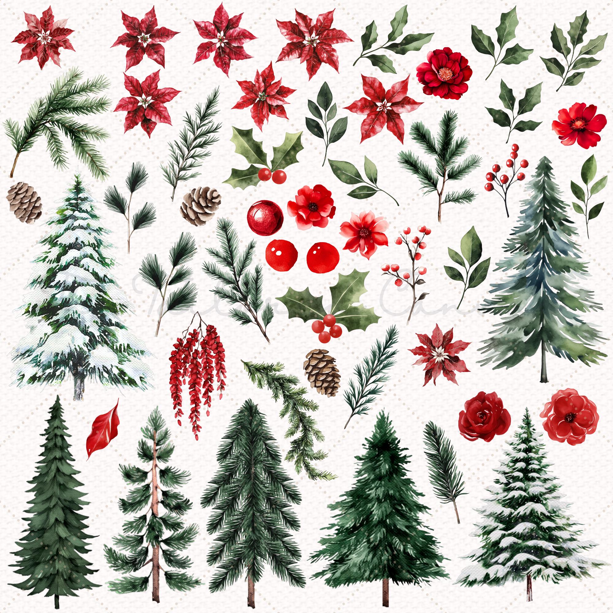 Watercolor Christmas Floral Clipart Bundle: Poinsettia, Trees, Greenery ...
