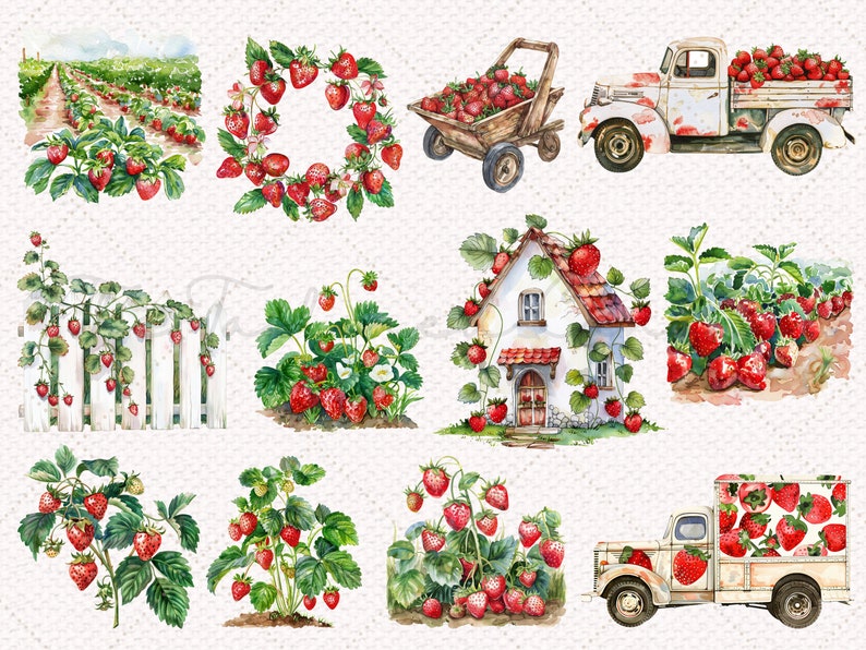 Watercolor Strawberry Summer Clipart Bundle High Quality Pngs ...