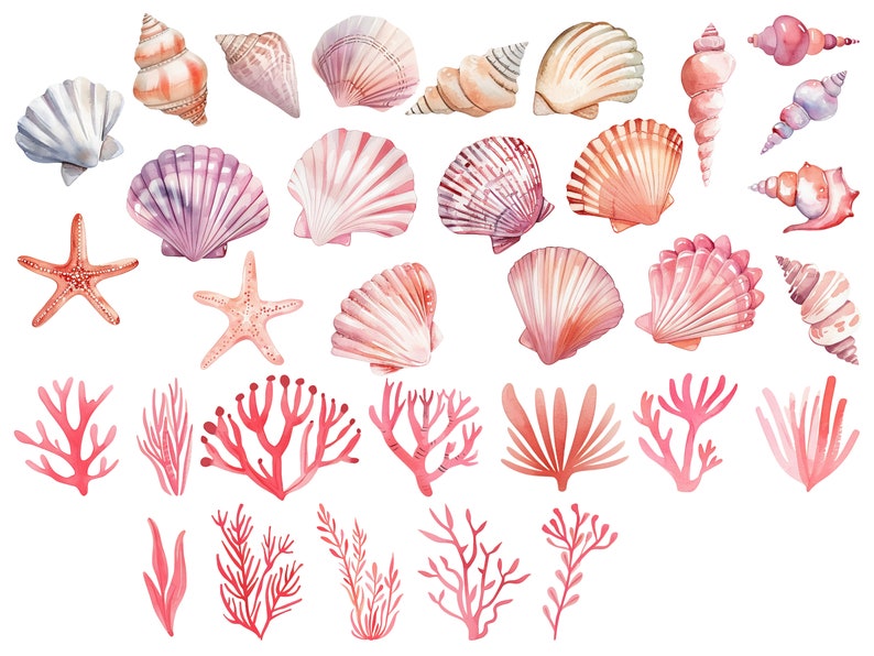 Ocean Valentine's Day Clipart Png Bundle 76 High Quality Pngs ...