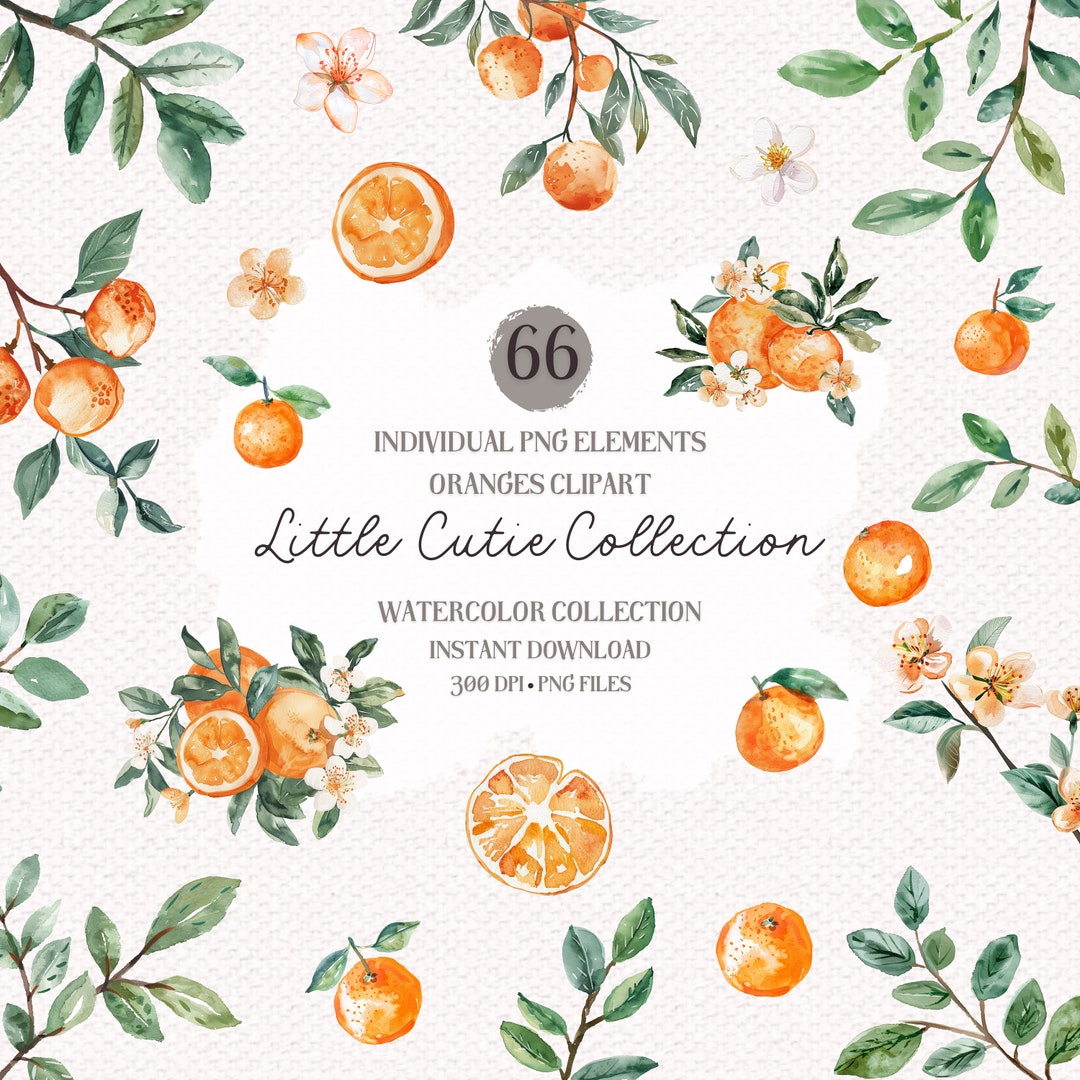 Orange Summer Clipart Bundle - Little Cutie Clip Art, Fruit Png ...