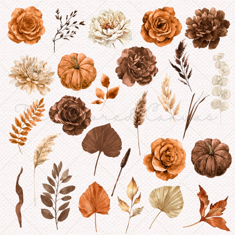 Watercolor Autumn Floral Clipart Bundle - Autumn Flowers, Boho Flower ...