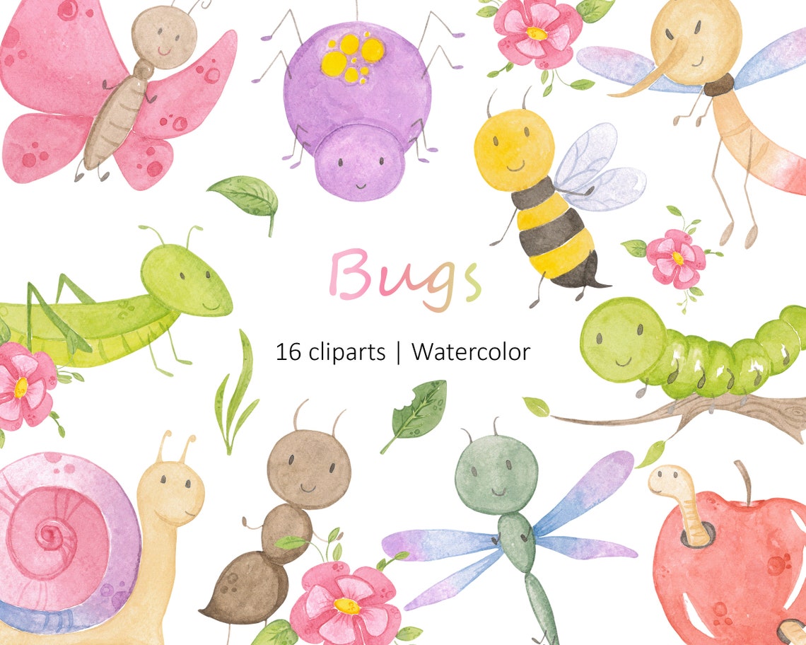 Cute Bugs Watercolor Clipart, Garden Bugs Clipart, Watercolor Spring ...