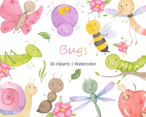Cute Bugs Watercolor Clipart Garden Bugs Clipart Watercolor - Etsy