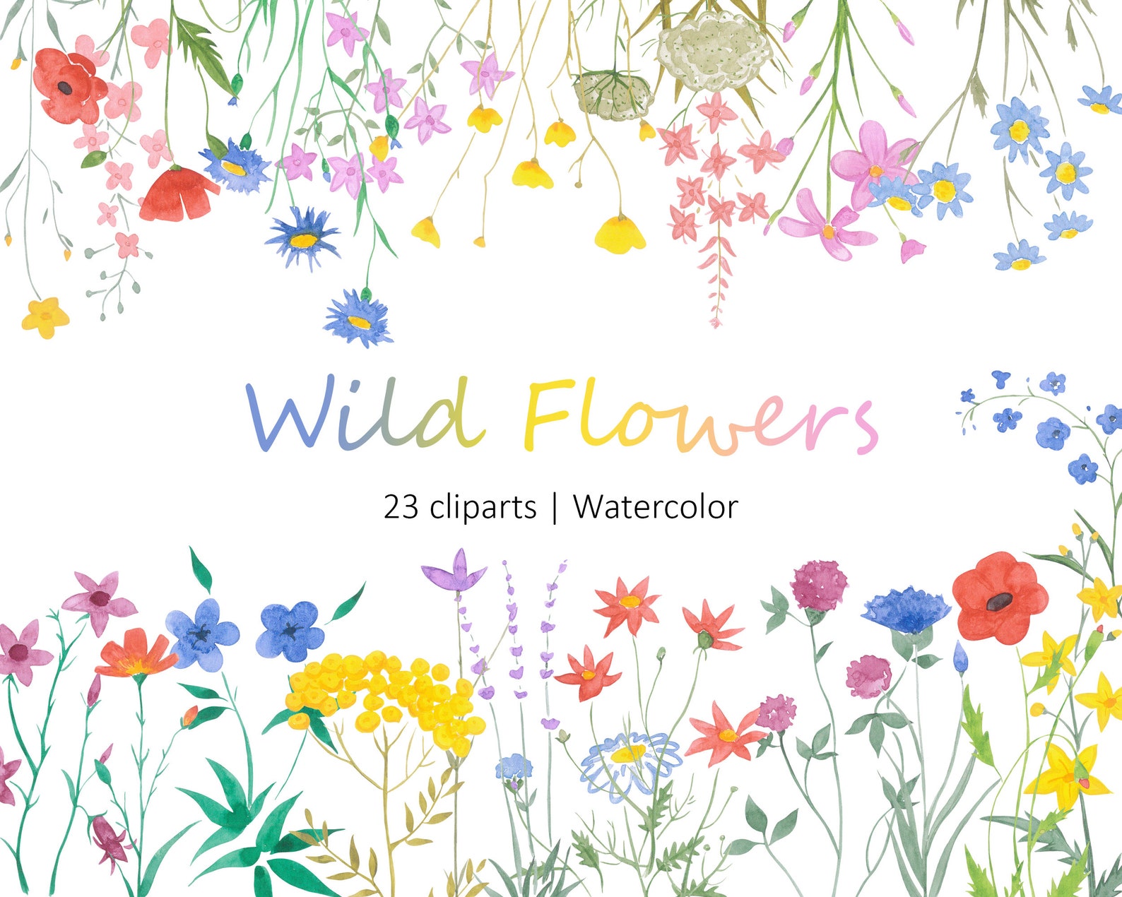 Wild Flowers Watercolor Clipart, Watercolor Floral Clipart, Wild Flower ...