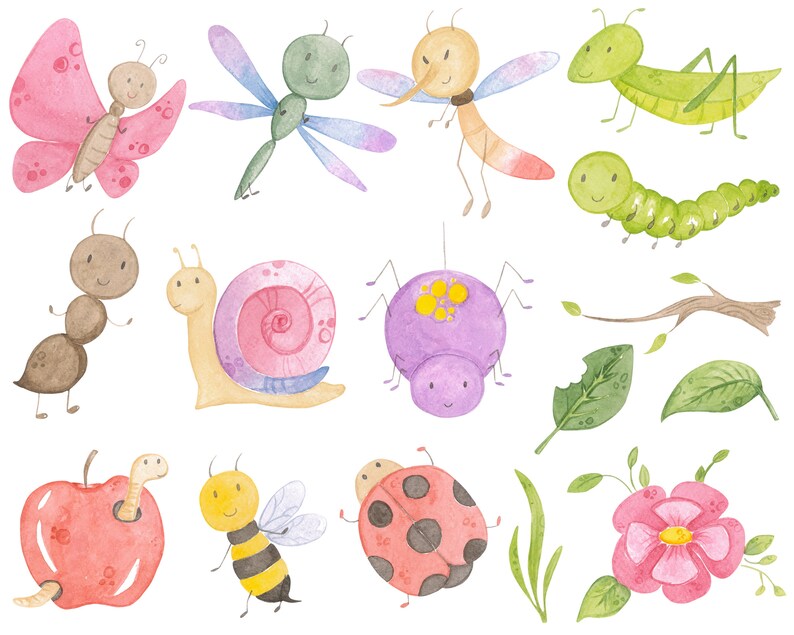 Cute Bugs Watercolor Clipart, Garden Bugs Clipart, Watercolor Spring ...