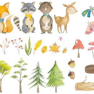 Woodland Animals Watercolor Clipart, Woodland Nursery Watercolor ...