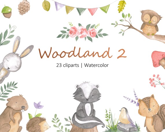 Woodland Animals Watercolor Clipart Woodland Nursery | Etsy