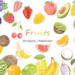 Fruits Watercolor Clipart, Watercolor Fruity Decor Clipart, PNG & JPG ...