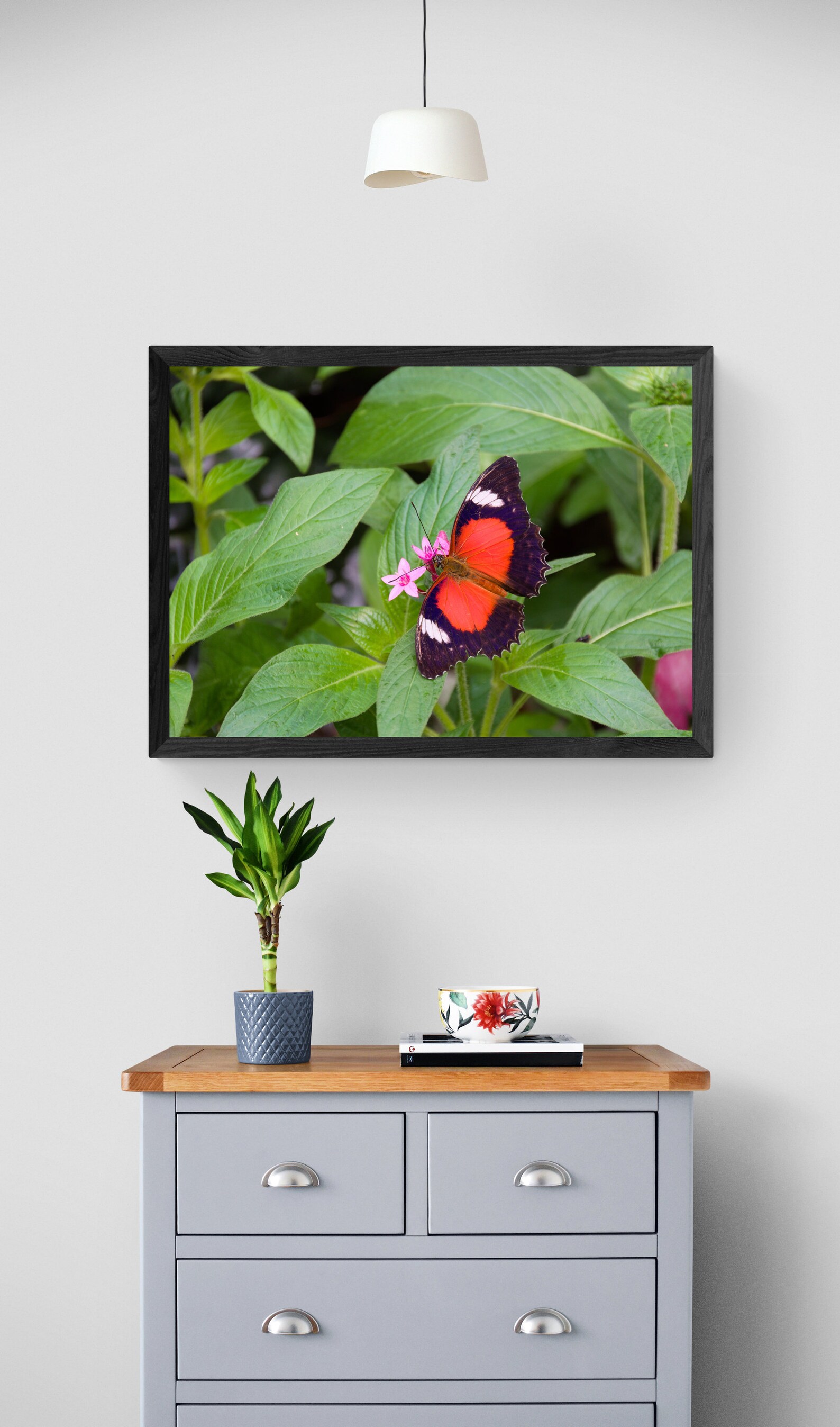 Butterfly Photo Print | Calming Nature Wall Art | Fine Art Landscape ...