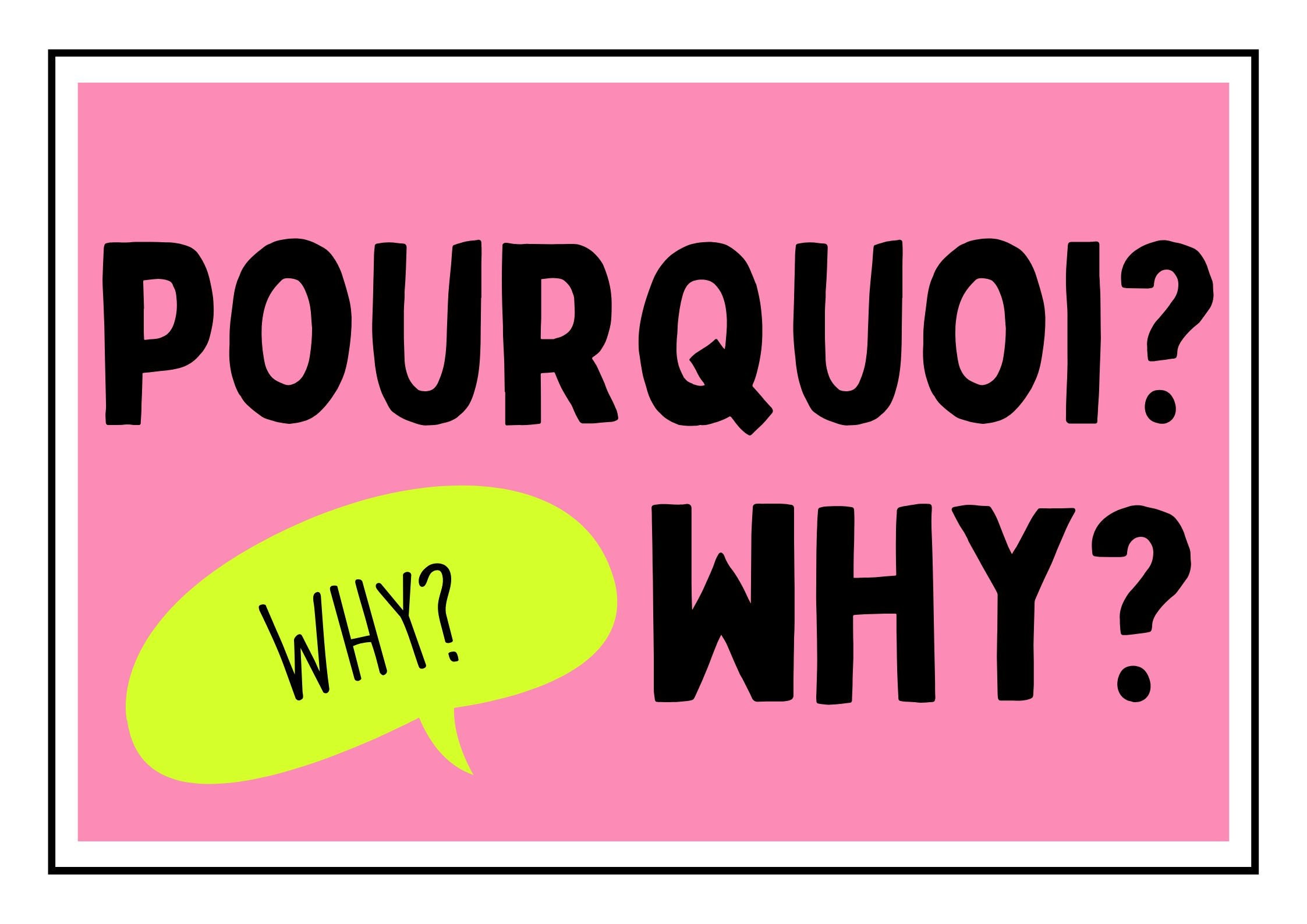 French Question Words Classroom Display - Etsy