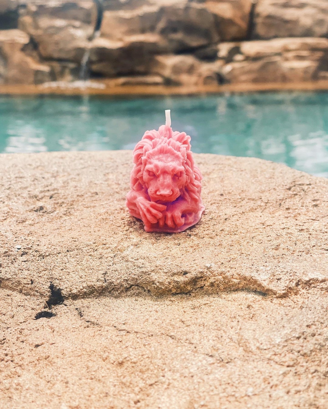 The Lion King Candle - Etsy