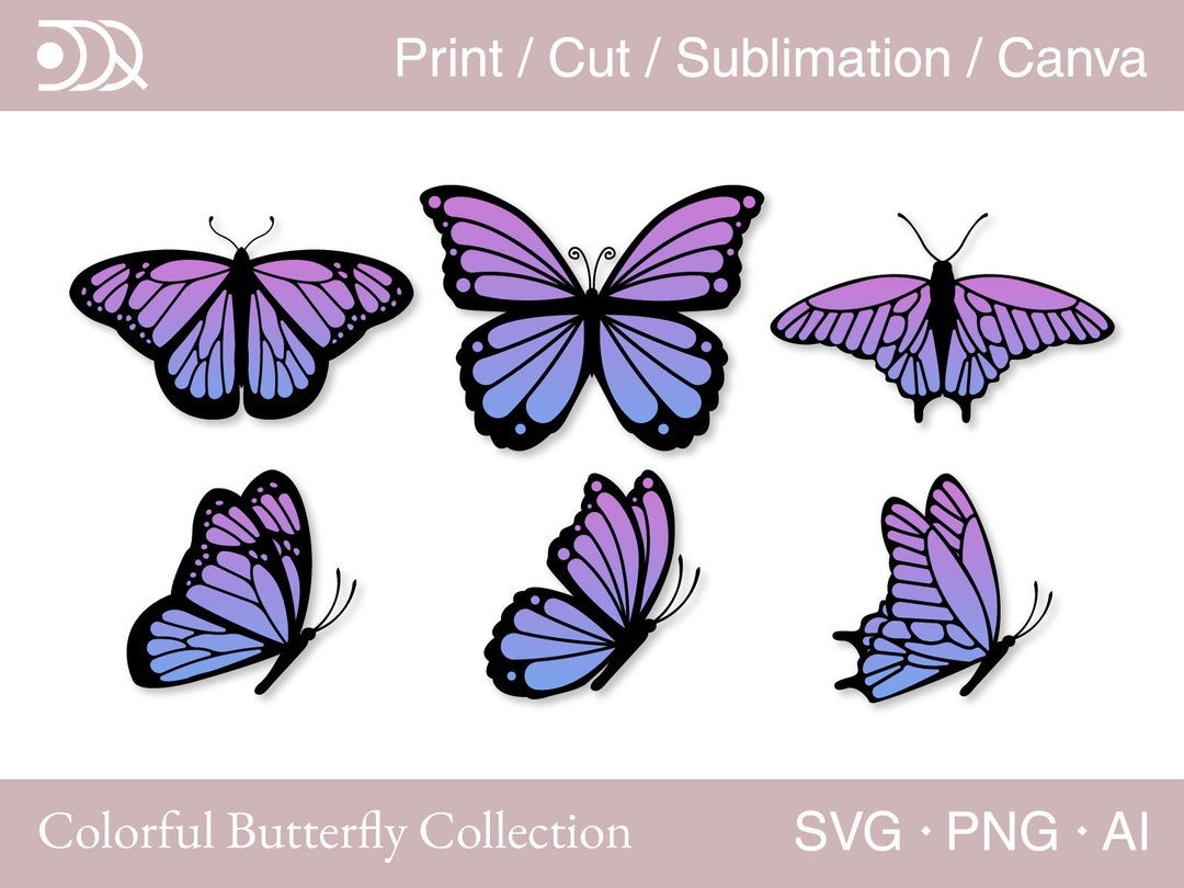 Colorful Butterfly Svg, Butterfly Multi Layer Svg, Butterfly Png ...