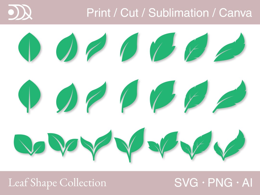 Leaf Svg, Leaves Collection Svg, Leaf Shape Cut Files, Leaf Png, Leaf ...