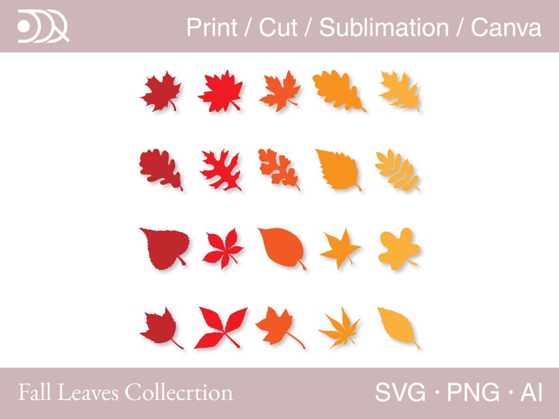Fall Leaves Svg, Autumn Leaves Collection Svg, Maple Leaves, Oak Leaves ...