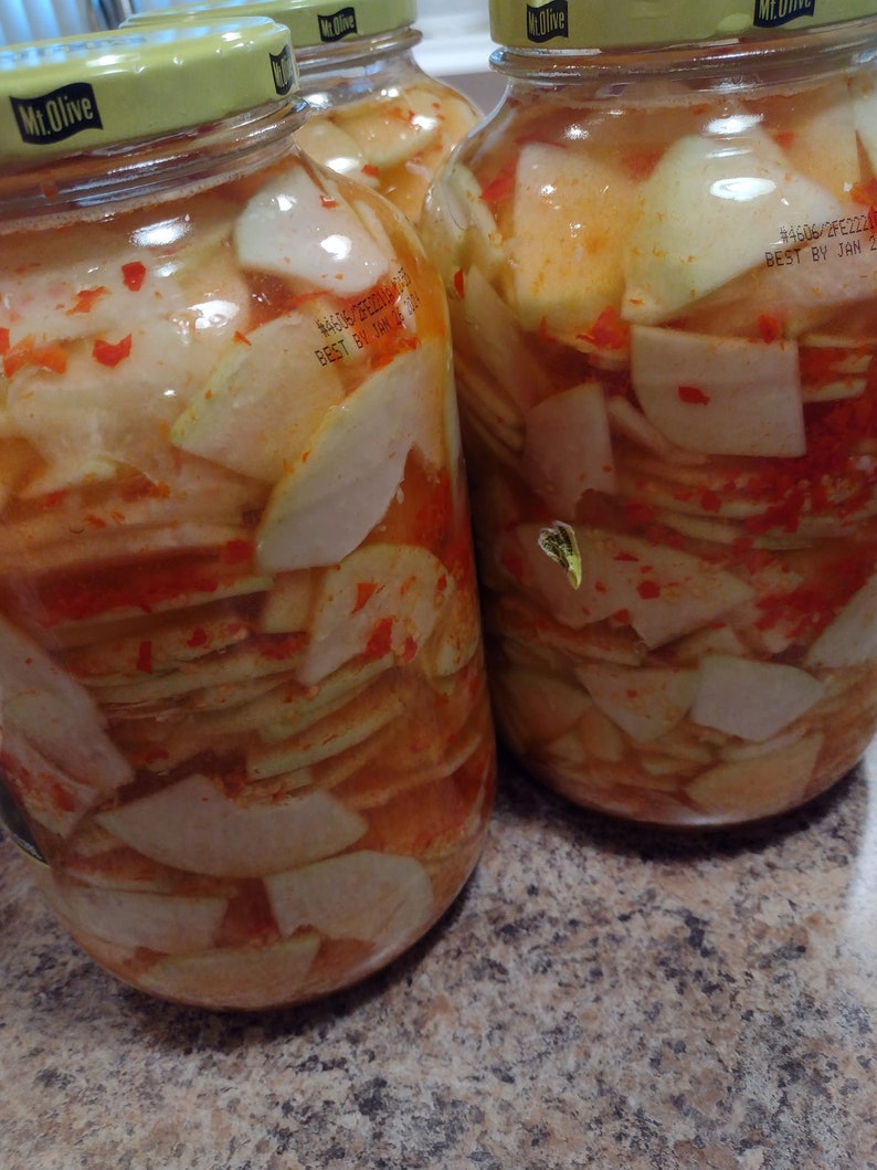 Guam Pickled Papaya, Daigo & Kimchi Pickles - 3 Lbs - Etsy