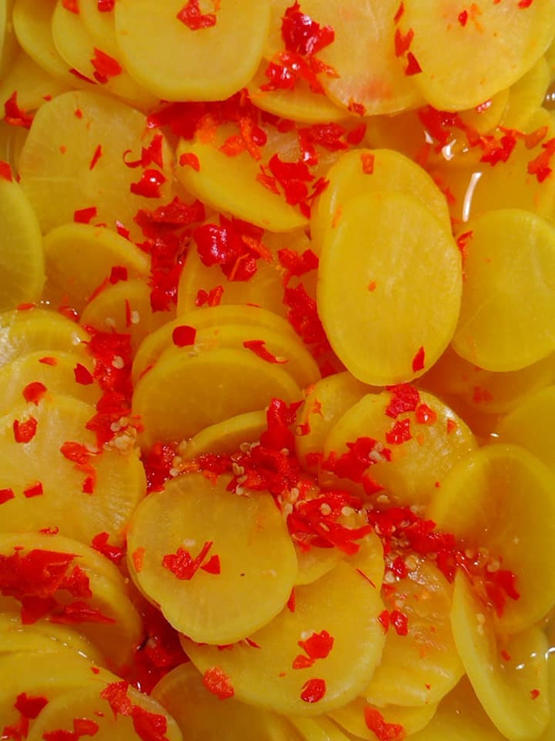 Guam Pickled Daigo (radish) 4 Lbs. - Etsy