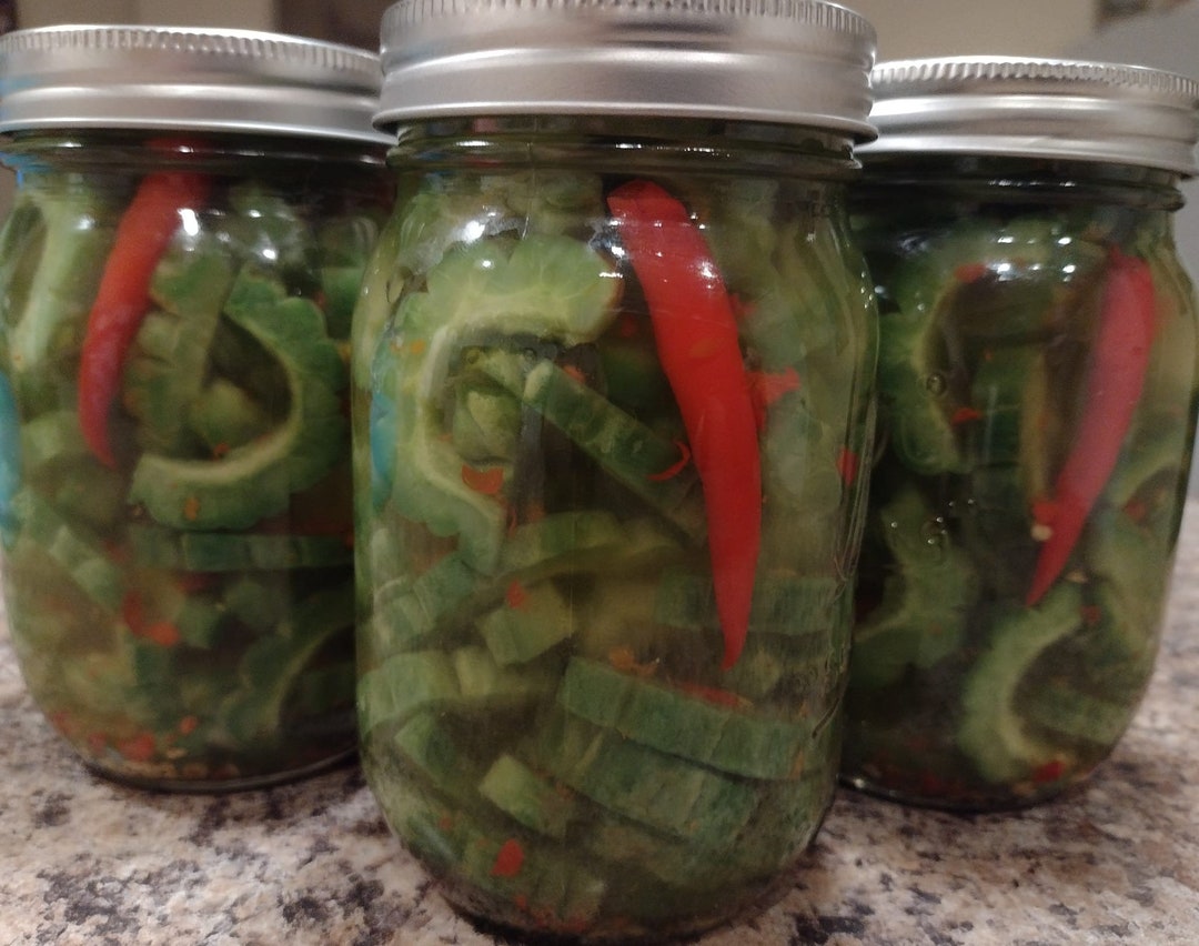 Guam Pickled Bitter Melon 16oz. (admagoso) - Etsy
