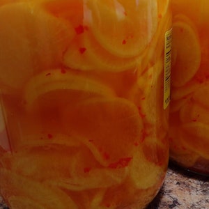 Guam Dinanche and Pickled Products - Etsy