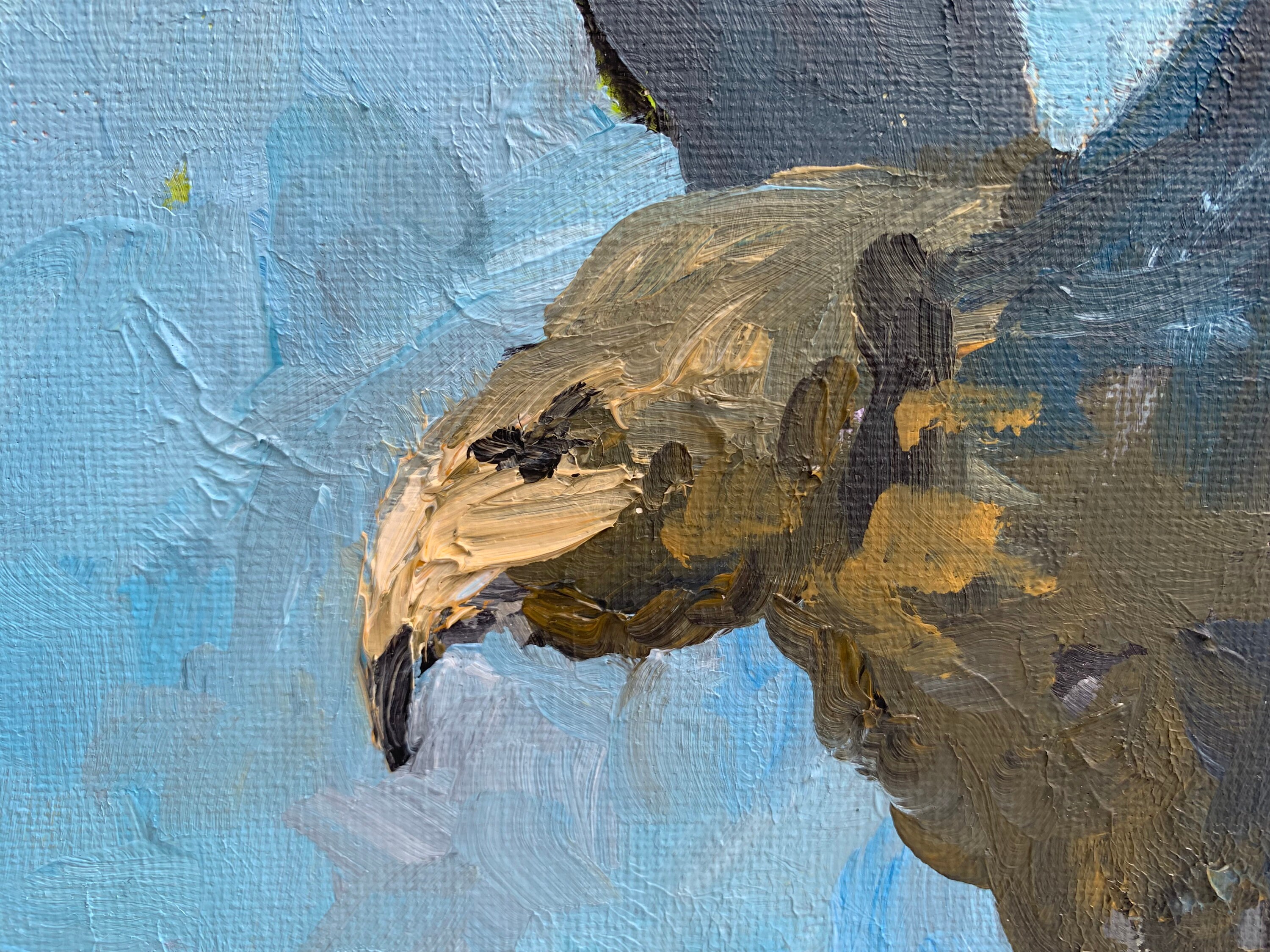 Eagle Painting Eagle Abstract Painting Eagle Oil Painting - Etsy