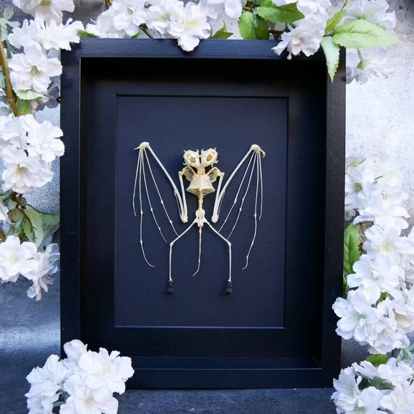 Two Headed Skeleton - Etsy