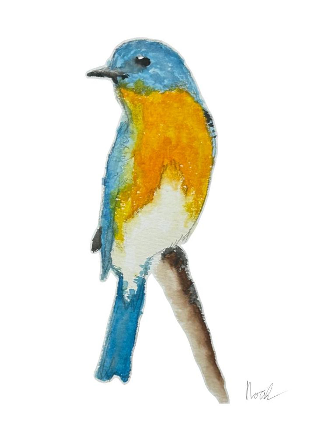 Eastern Bluebird - Digital Download - Etsy