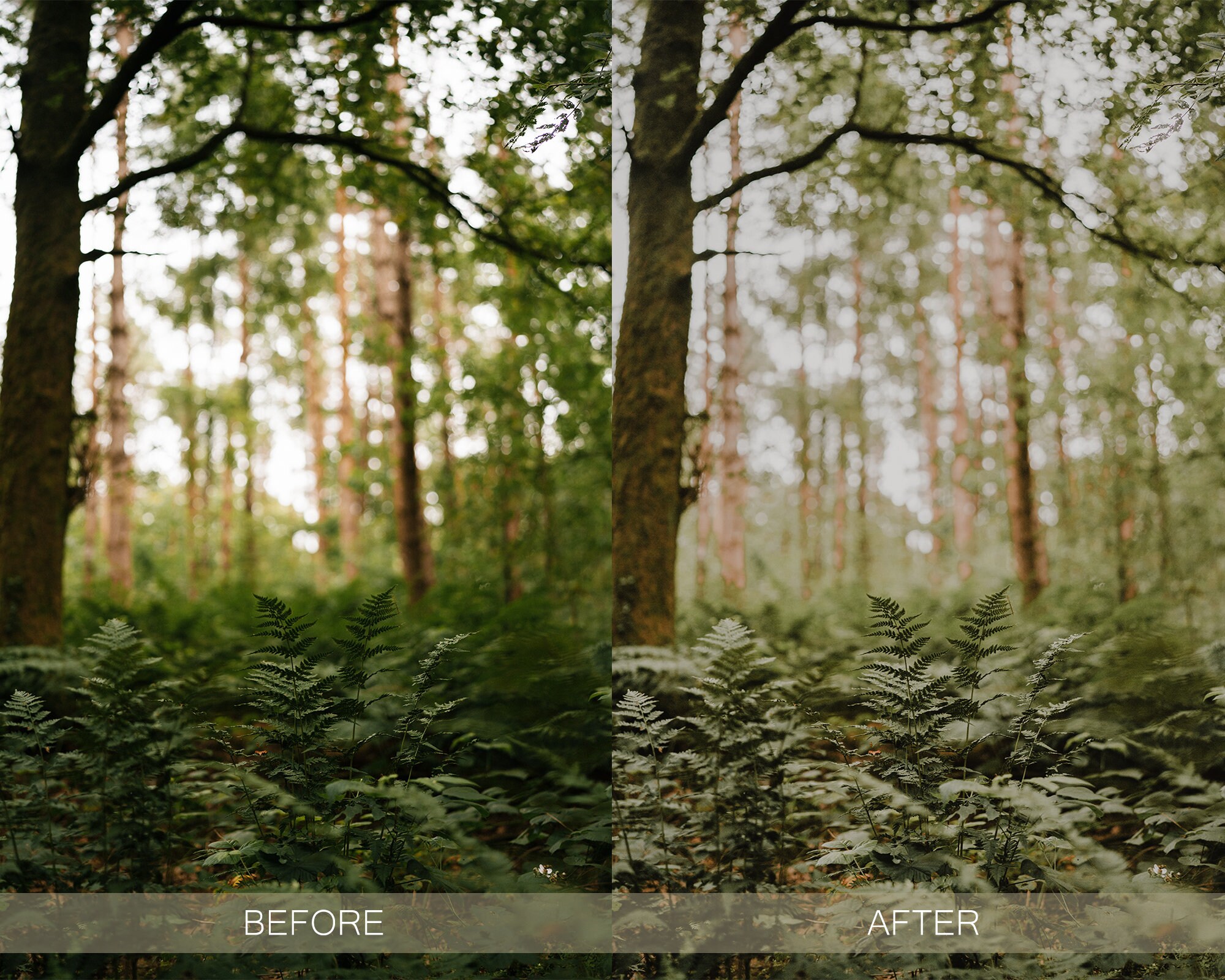 6 Natural Lightroom Preset for Mobile & Desktop Soft Preset Natural ...