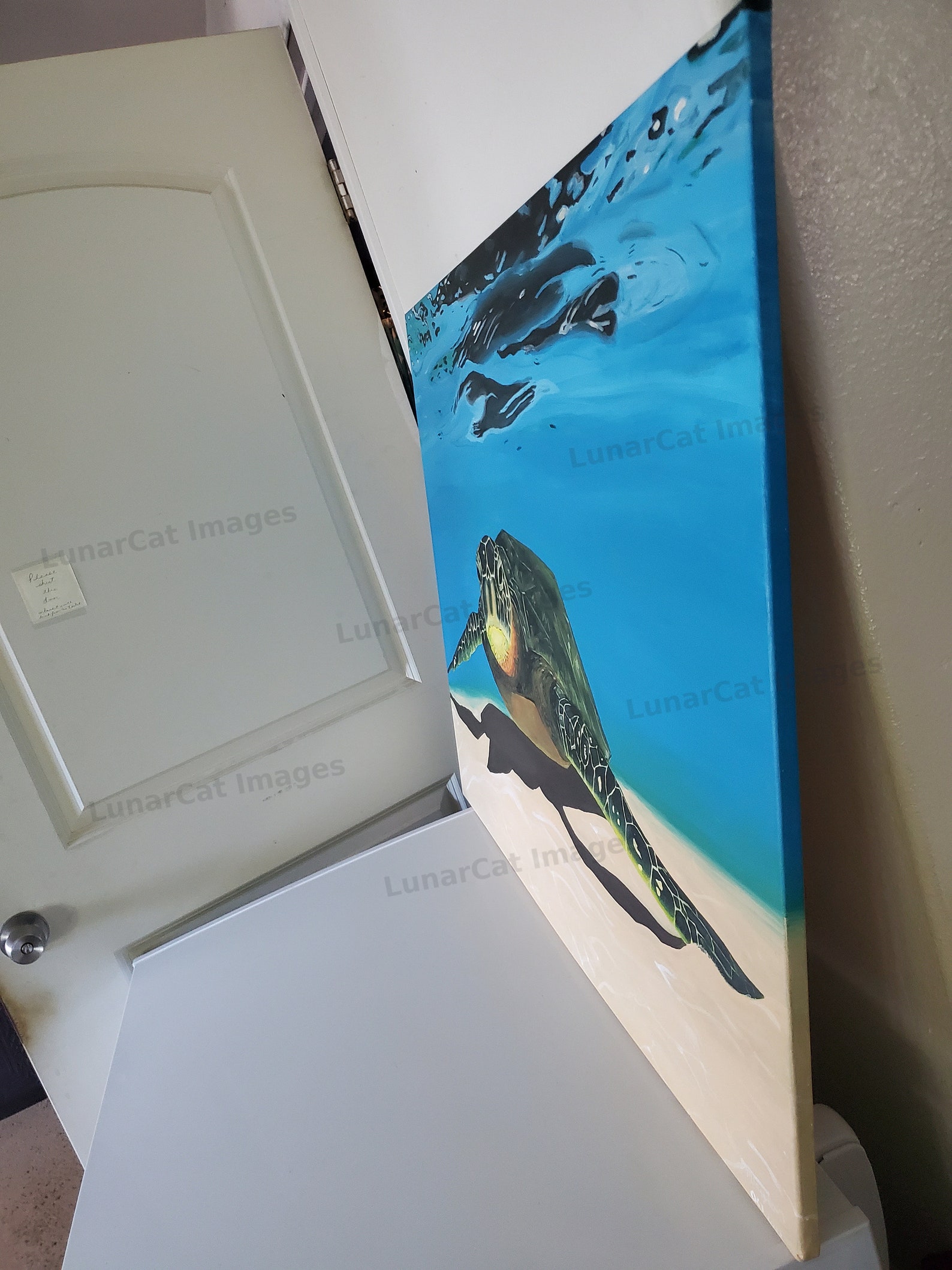 Curiosity, Turtle Swimming Kaneohe Bay Hawaii - Etsy