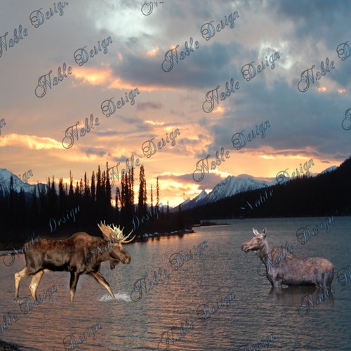 Moose Silhouette With Mountain Scene Moose Clip Art Lake and - Etsy