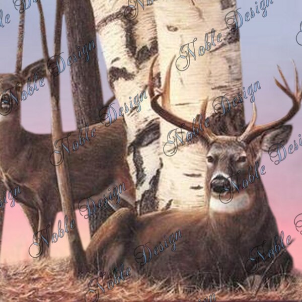 Deer Buck and Doe - Etsy