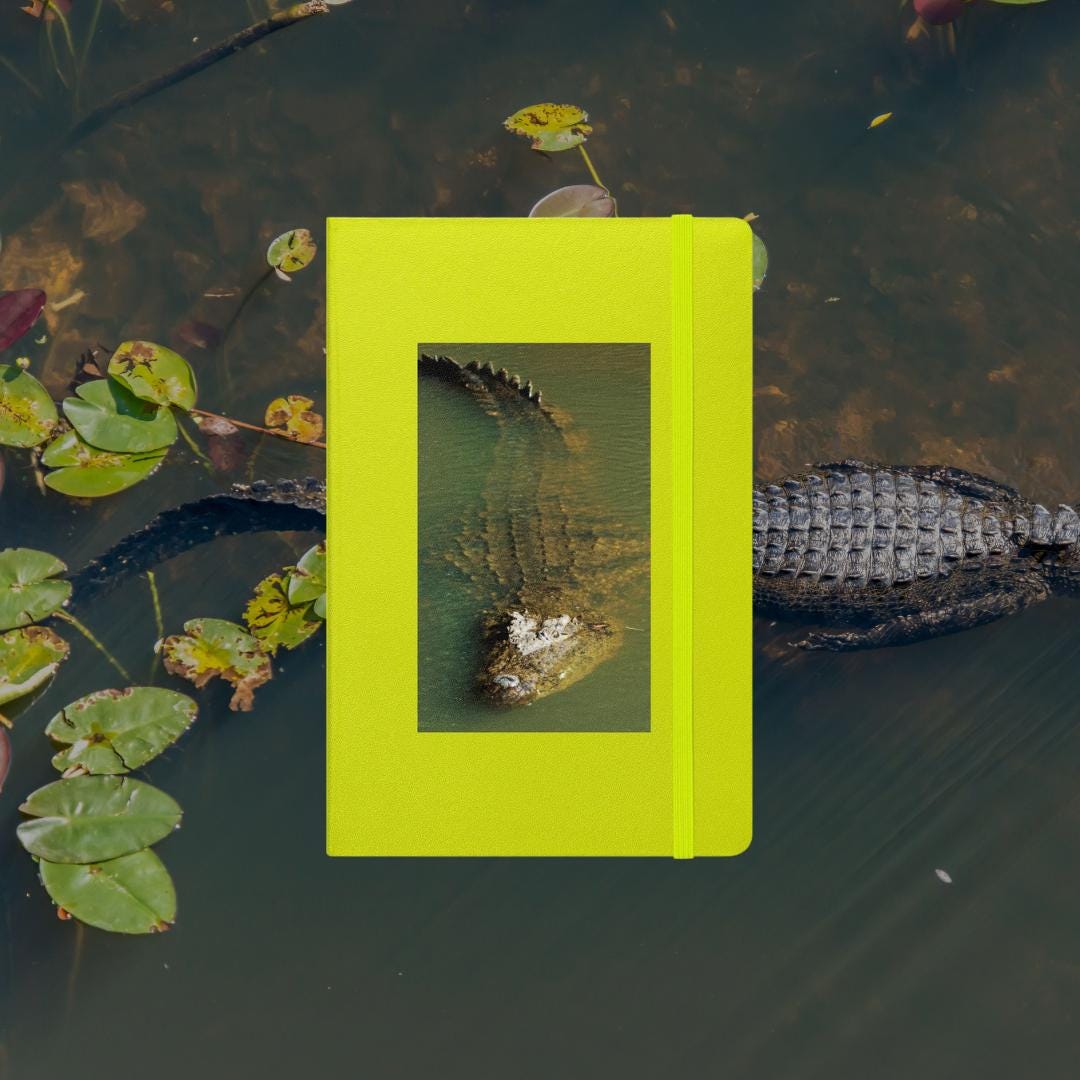 Crocodile / Alligator Horror-themed Writing Notebook – Nightmare Diary ...